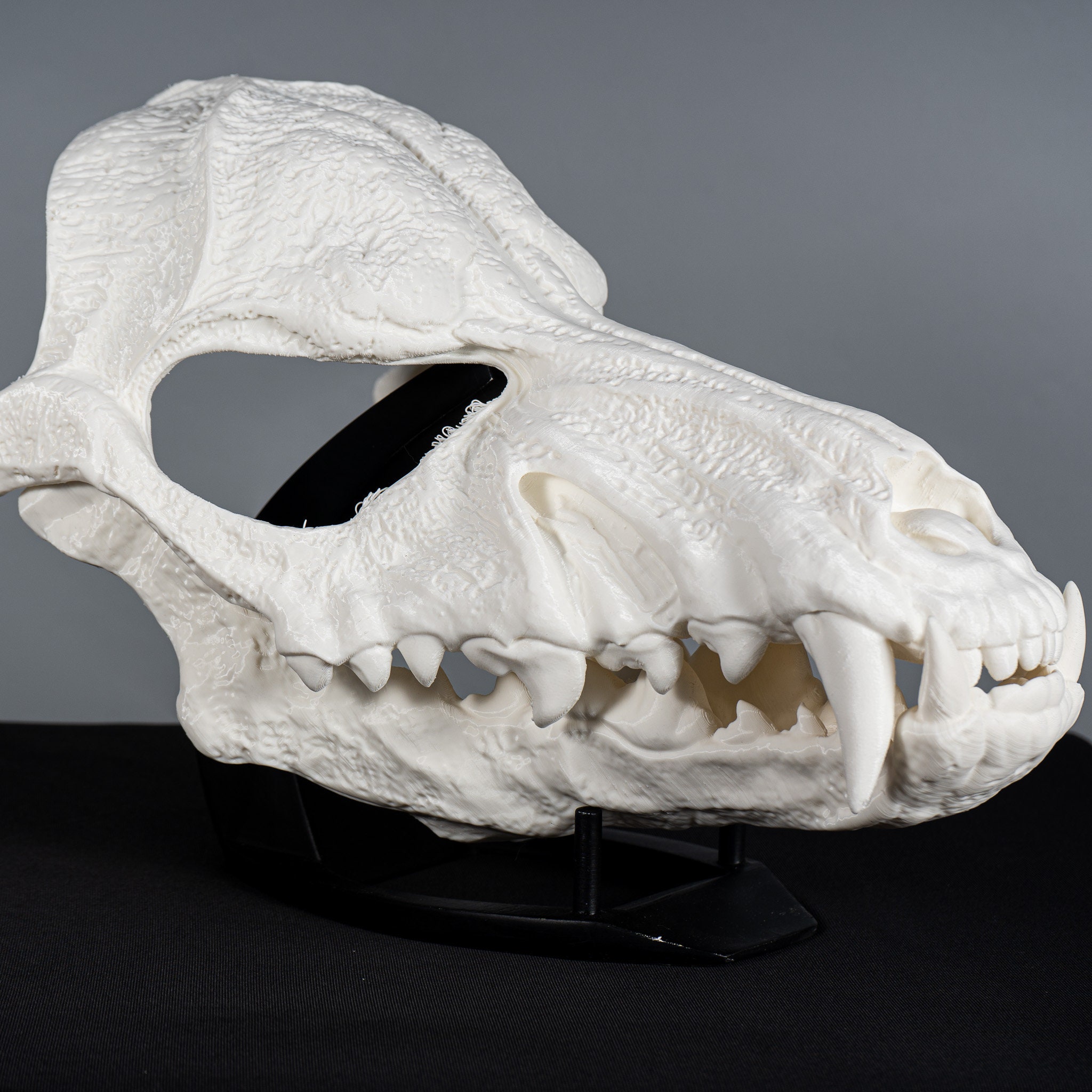 3D Printed Unpainted Wolf Skull Mask With Moving Jaw Wolf - Etsy