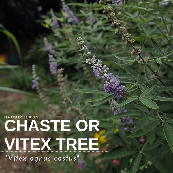 Vitex Tree - Etsy