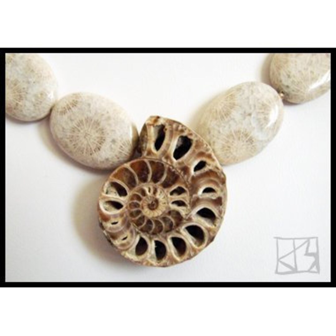 NEW PRICE! Opal Moroccan AMMONITE Fossil Coral Necklace: Cream & Ivory ...