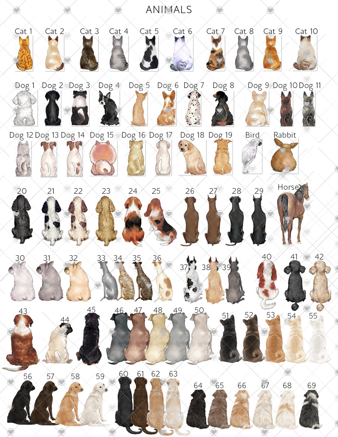 Vet Tech Gift Veterinarian Gift Personalized Veterinarian - Etsy