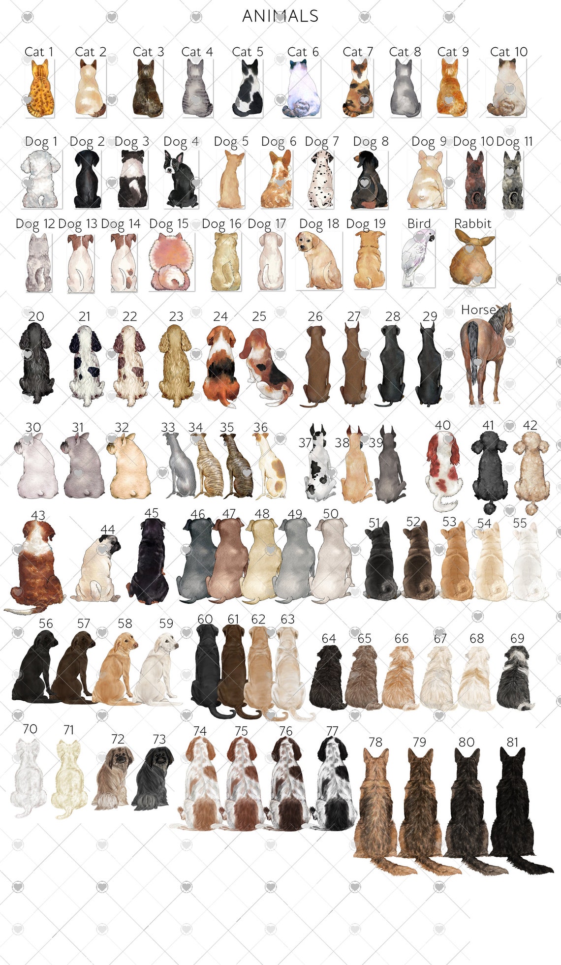 Vet Tech Gift Veterinarian Gift Personalized Veterinarian - Etsy