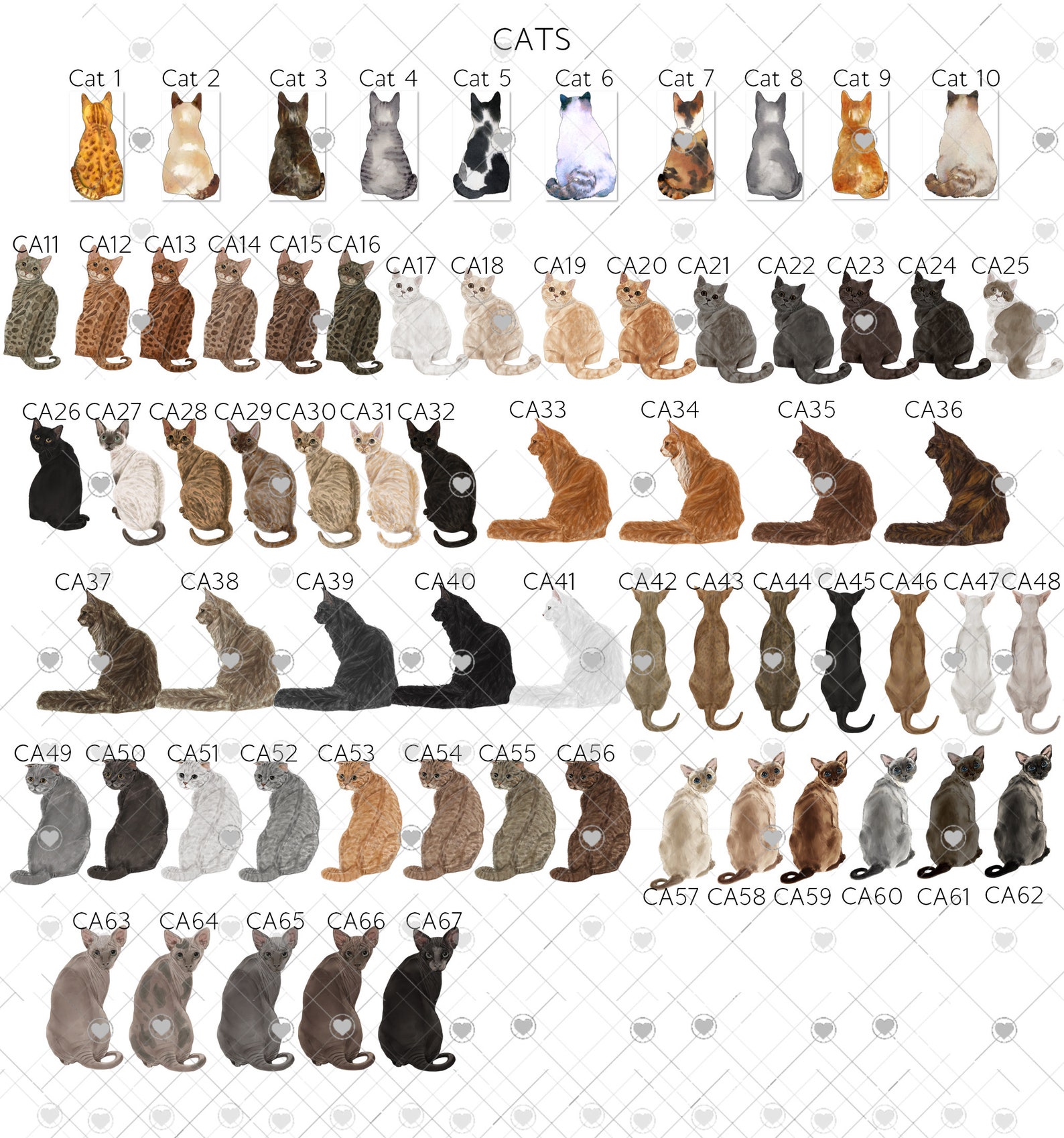 Vet Tech Gift, Veterinarian Gift, Personalized Veterinarian Print ...