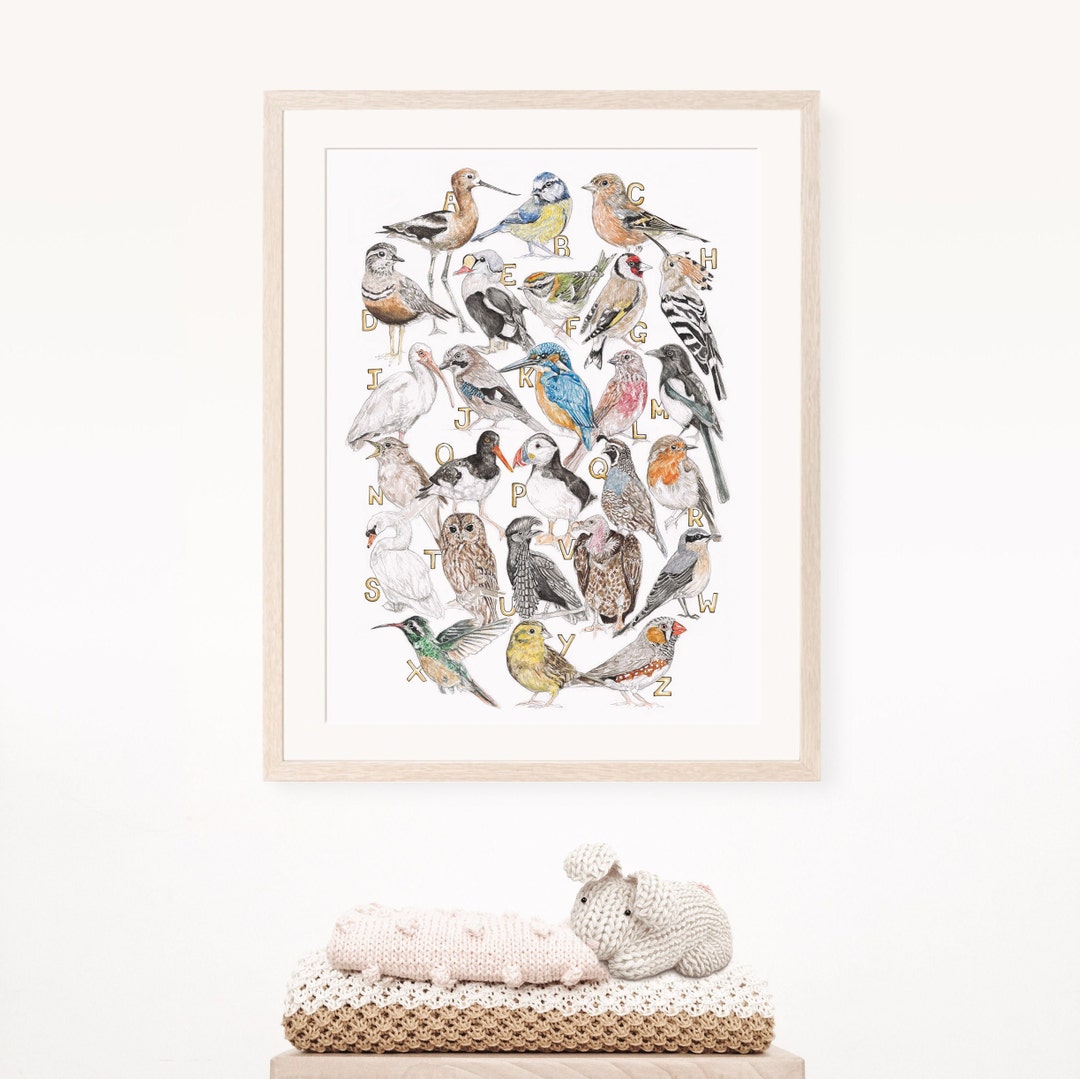 Bird Alphabet Print, Hand Drawn Watercolor Giclee, Nursery Wall Art - Etsy