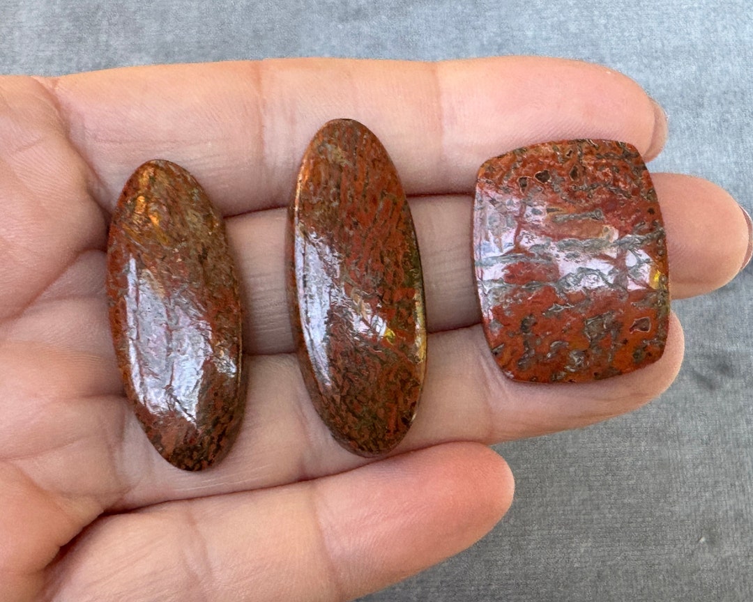 High Quality Dinosaur Bone Cabochon 23.15 Carat Oval | Collector's ...