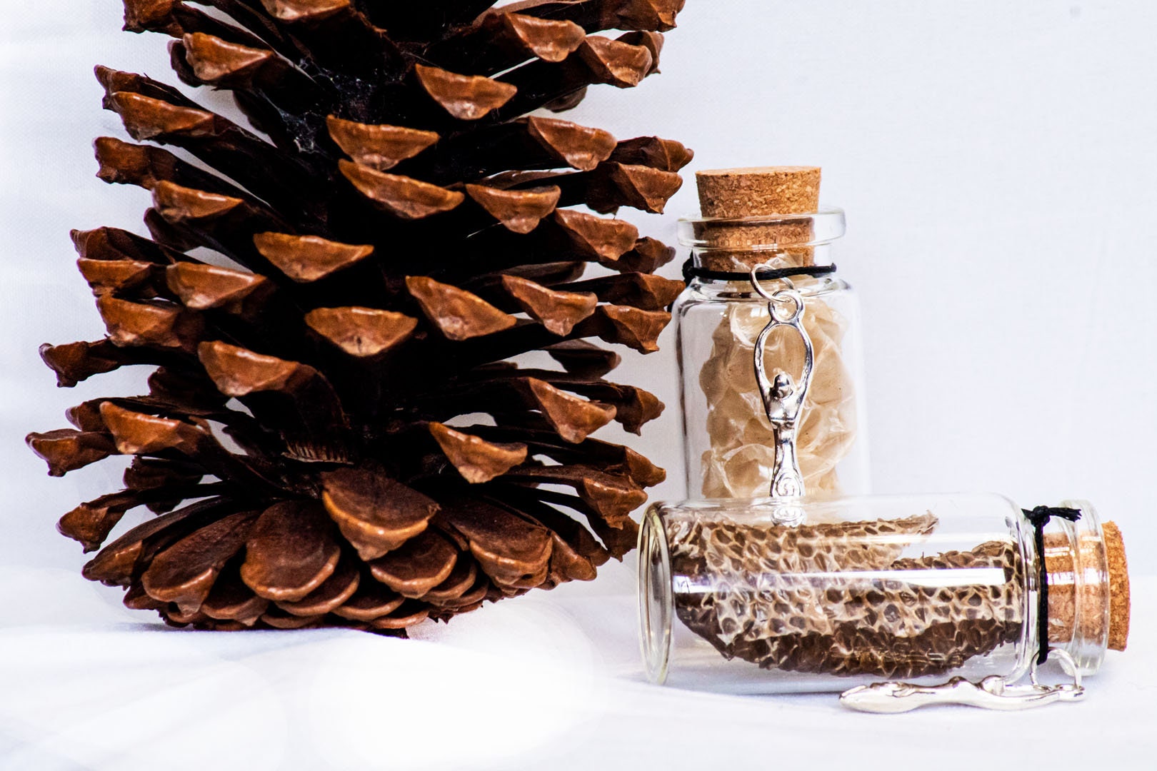 Snakeskin Vial by Everyone's Secret Spirit, Wicca, Protection ...