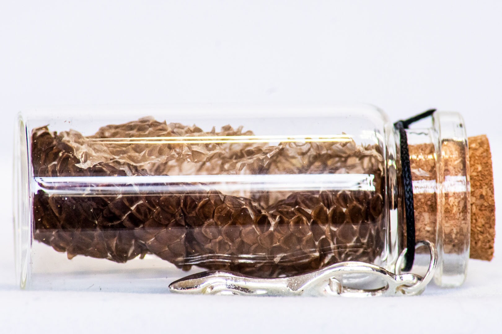 Snakeskin Vial by Everyone's Secret Spirit, Wicca, Protection ...