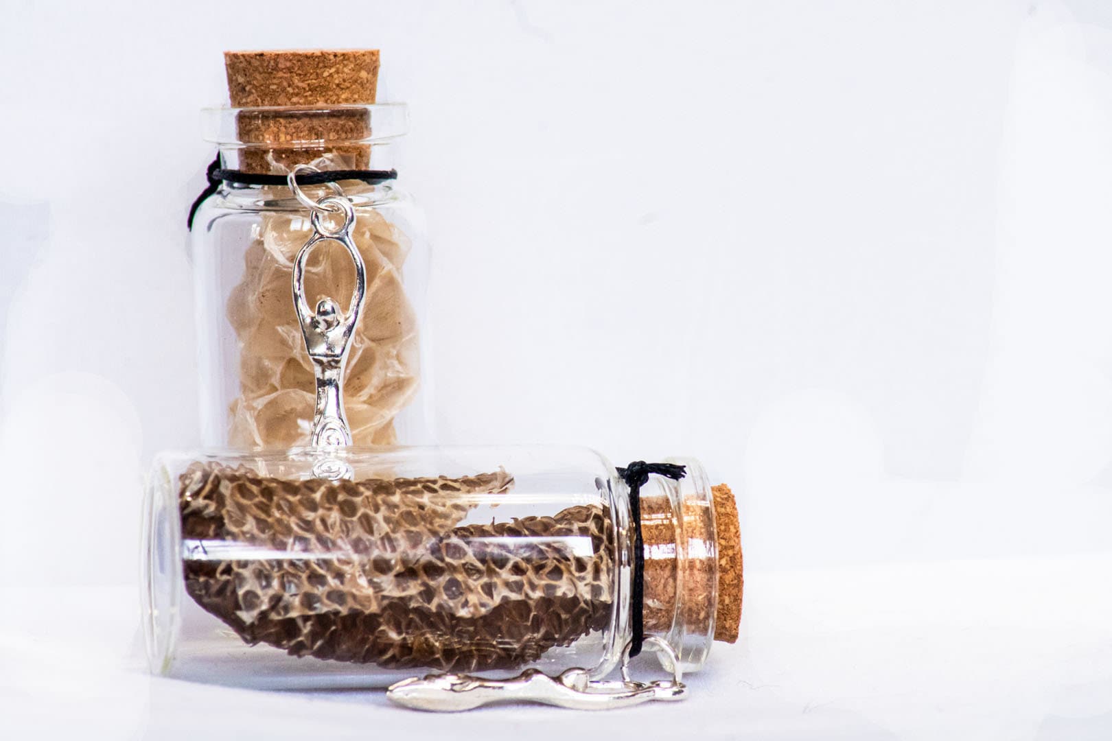 Snakeskin Vial by Everyone's Secret Spirit, Wicca, Protection ...