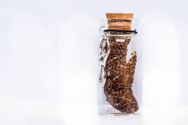 Snakeskin Vial by Everyone's Secret Spirit, Wicca, Protection ...