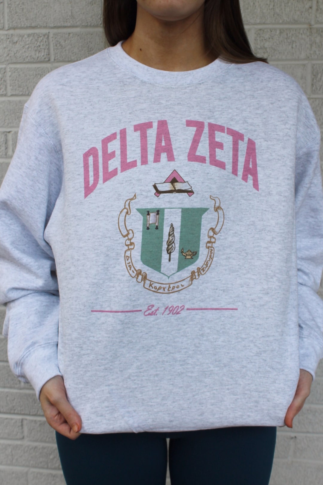 Delta Zeta Crest Sweatshirt: DZ Sorority Gift, Greek Apparel - Etsy