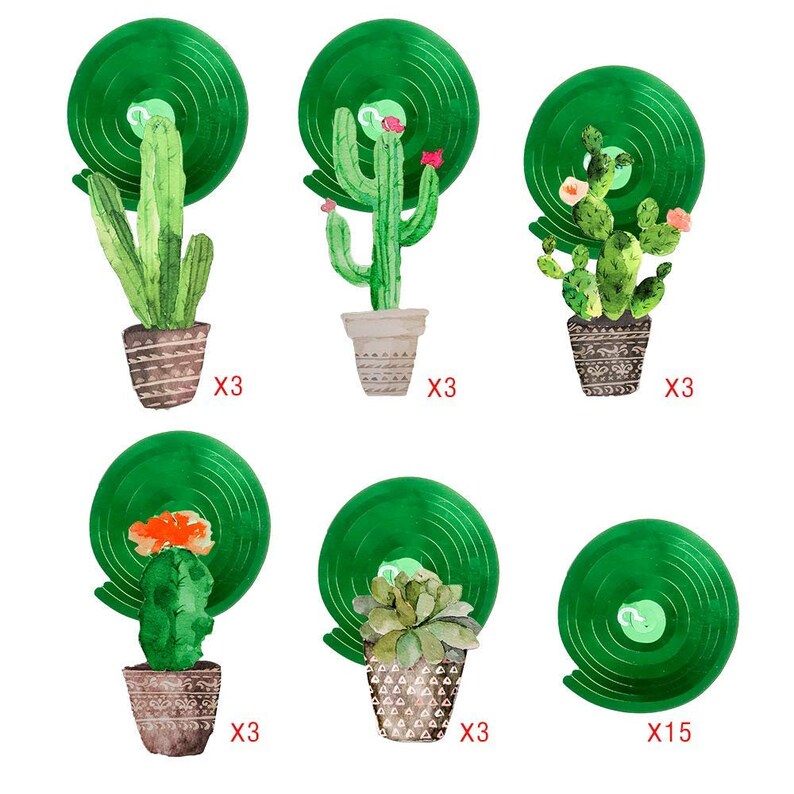 Cactus Hanging Swirl Decorations 30 Pack Cactus Party - Etsy