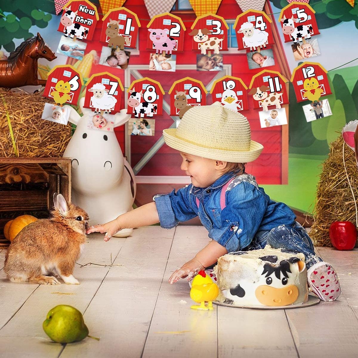 Farm Animals 1st Birthday Monthly Photo Banner Barnyard Theme | Etsy
