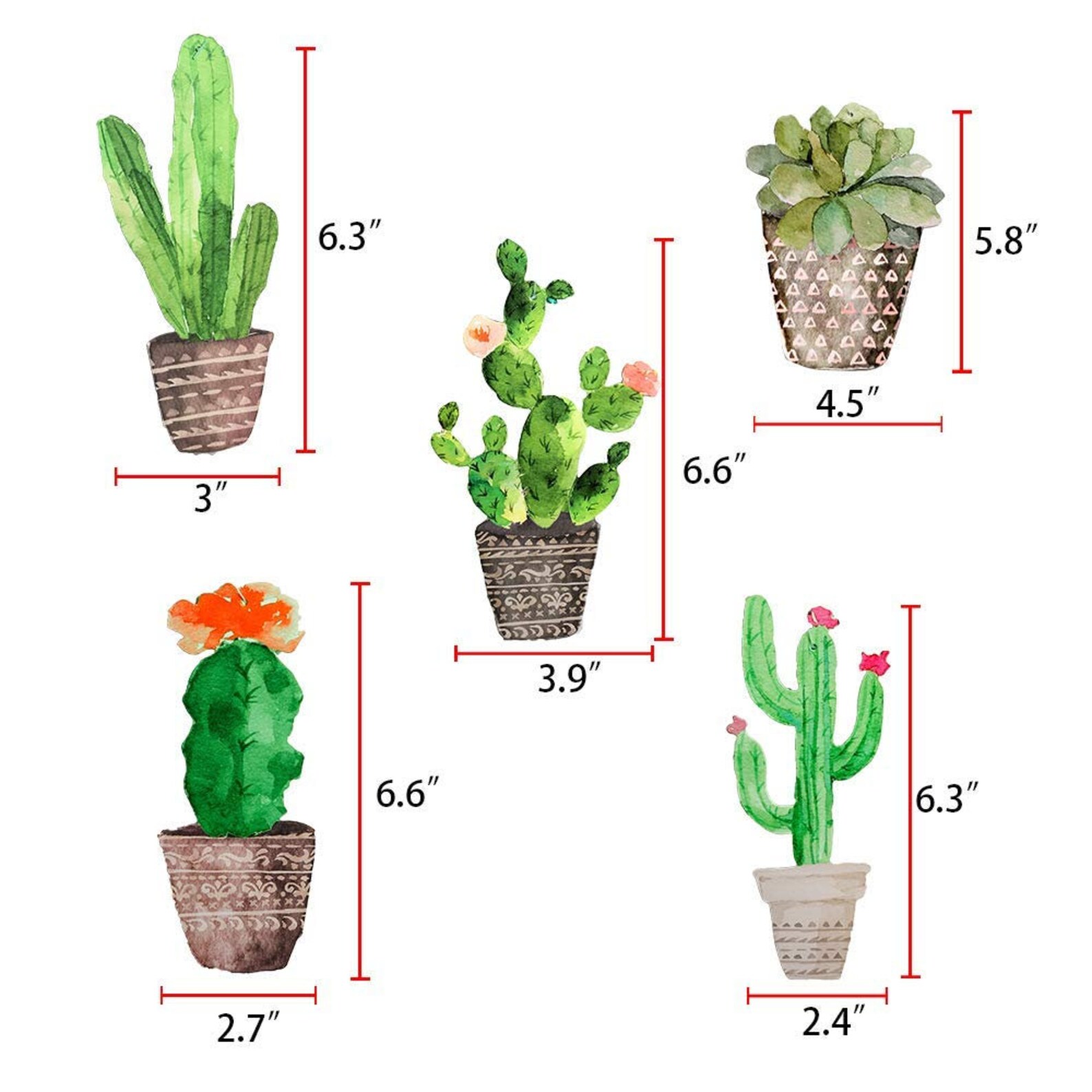 Cactus Hanging Swirl Decorations 30 Pack Cactus Party - Etsy