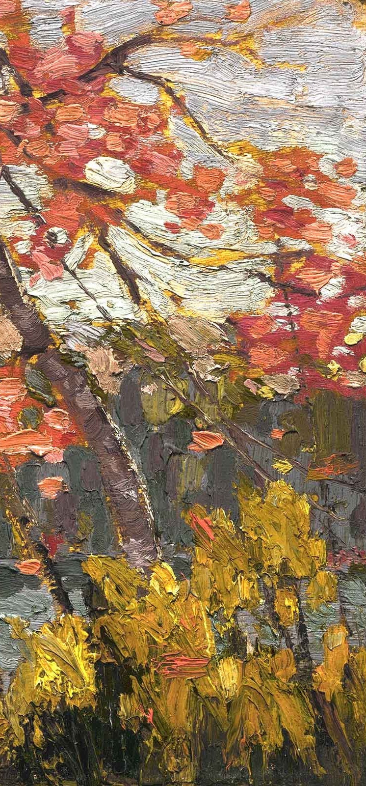 Tom Thomson print Canadian art Twisted Maple 1914 | Etsy