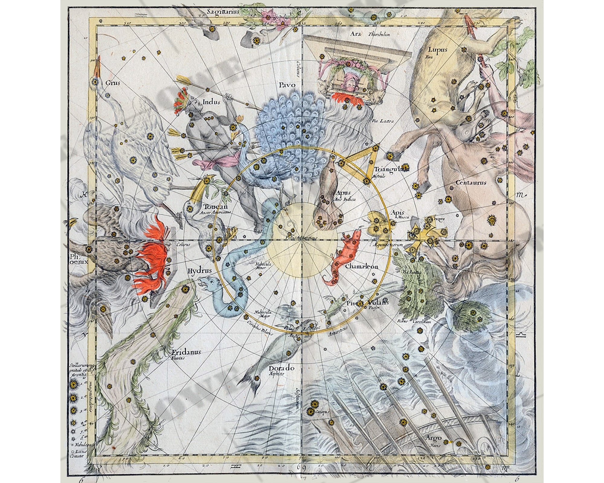 Pavo Constellation Star Map