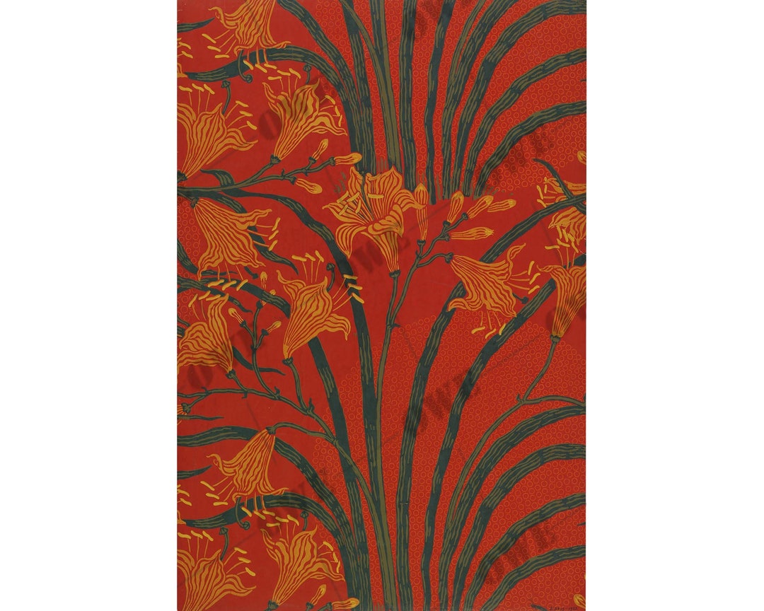 Orange Floral Art, Reproduction of Day Lilies by British Illustrator ...
