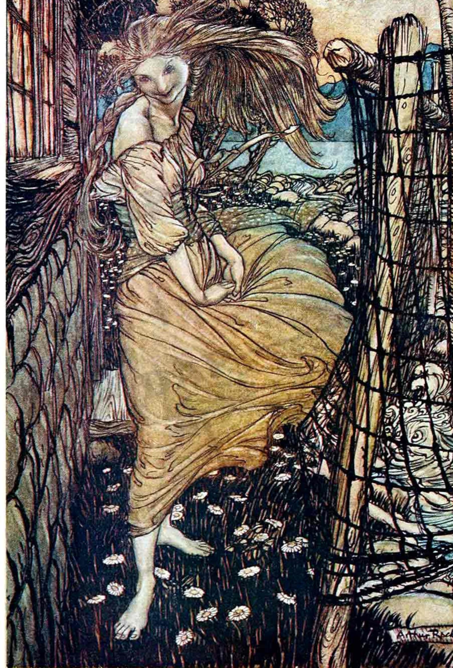 Arthur Rackham 1909. Illustrations from Ondine by Friedrich de | Etsy