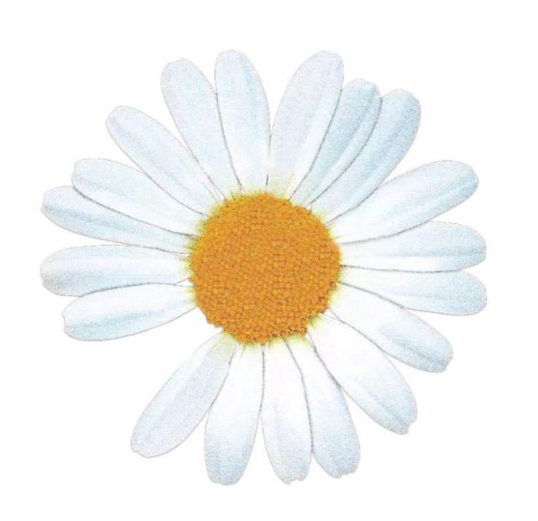 Large Daisy Flower Patch Iron on Applique Transfer 8.75 Minus One He ...