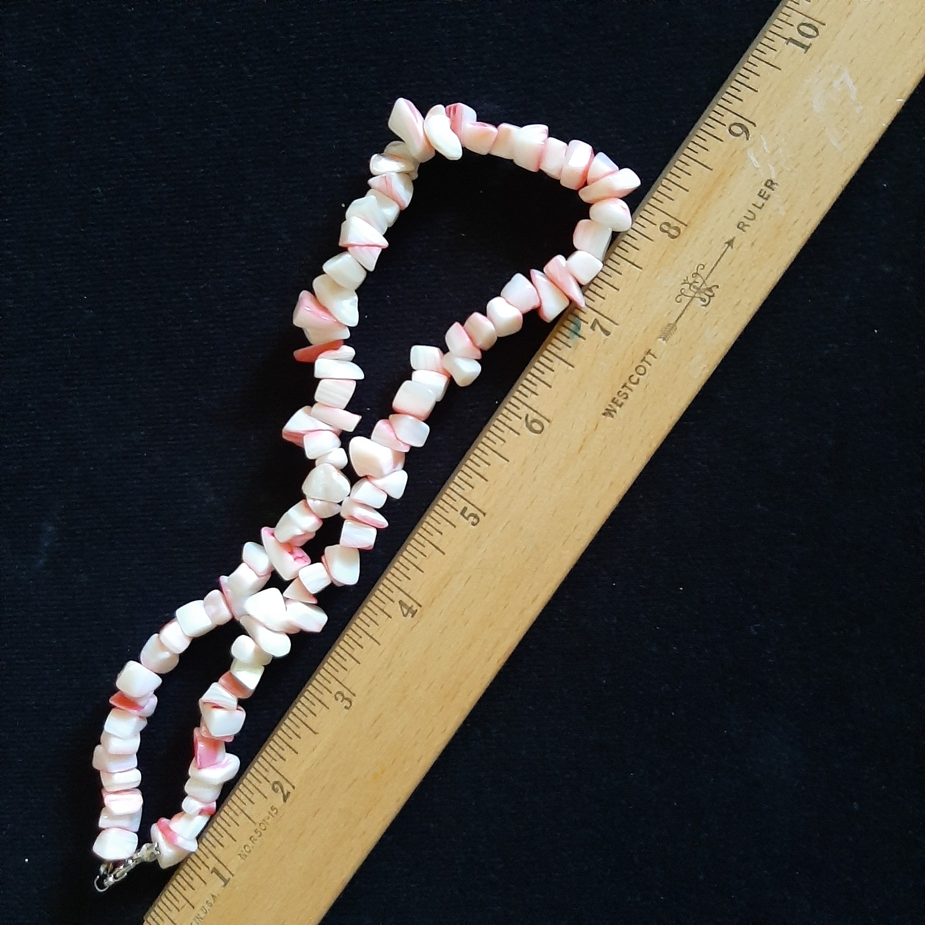 Rare Vintage 70s Polished Conch Shell Necklace Smooth Chunky Thick ...