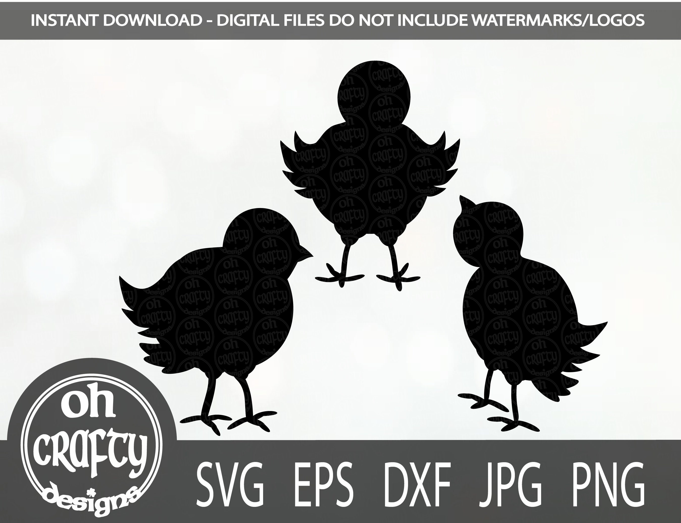 Baby Chick Svg Easter Chick Svg Bundle Chick Silhouette Svg - Etsy