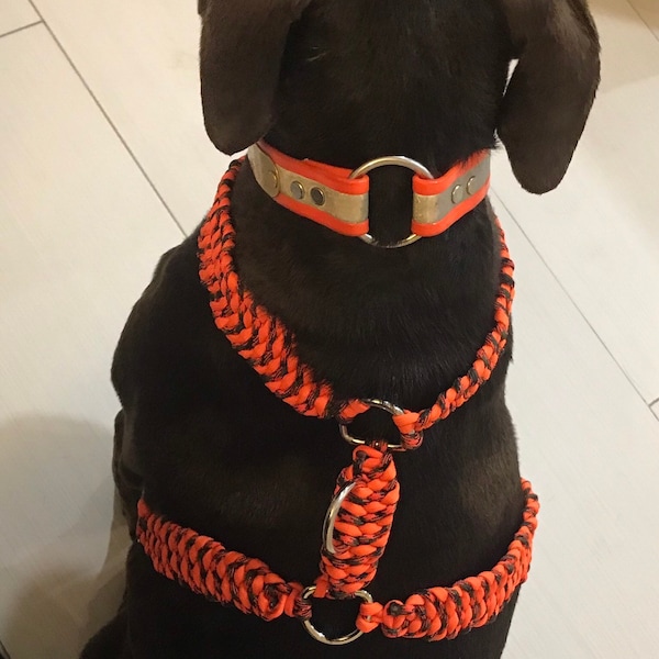 Paracord Dog Harness - Etsy