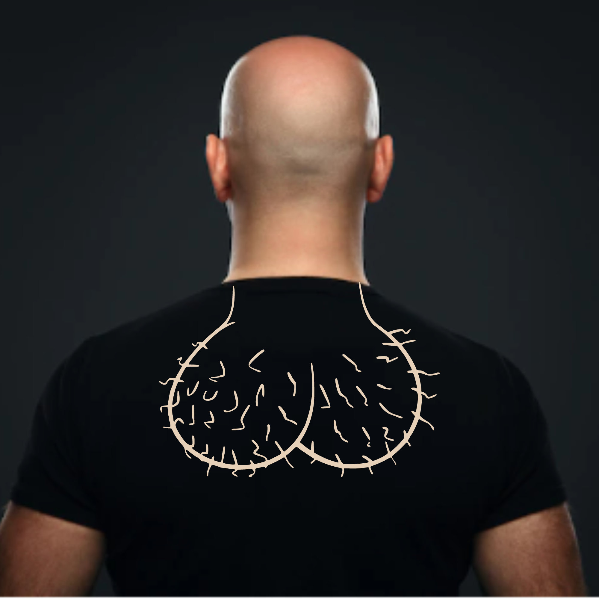 Bald Guy Ball Sack Men's Humor Graphic Shirt, Gag Gift Tee Shirts for ...