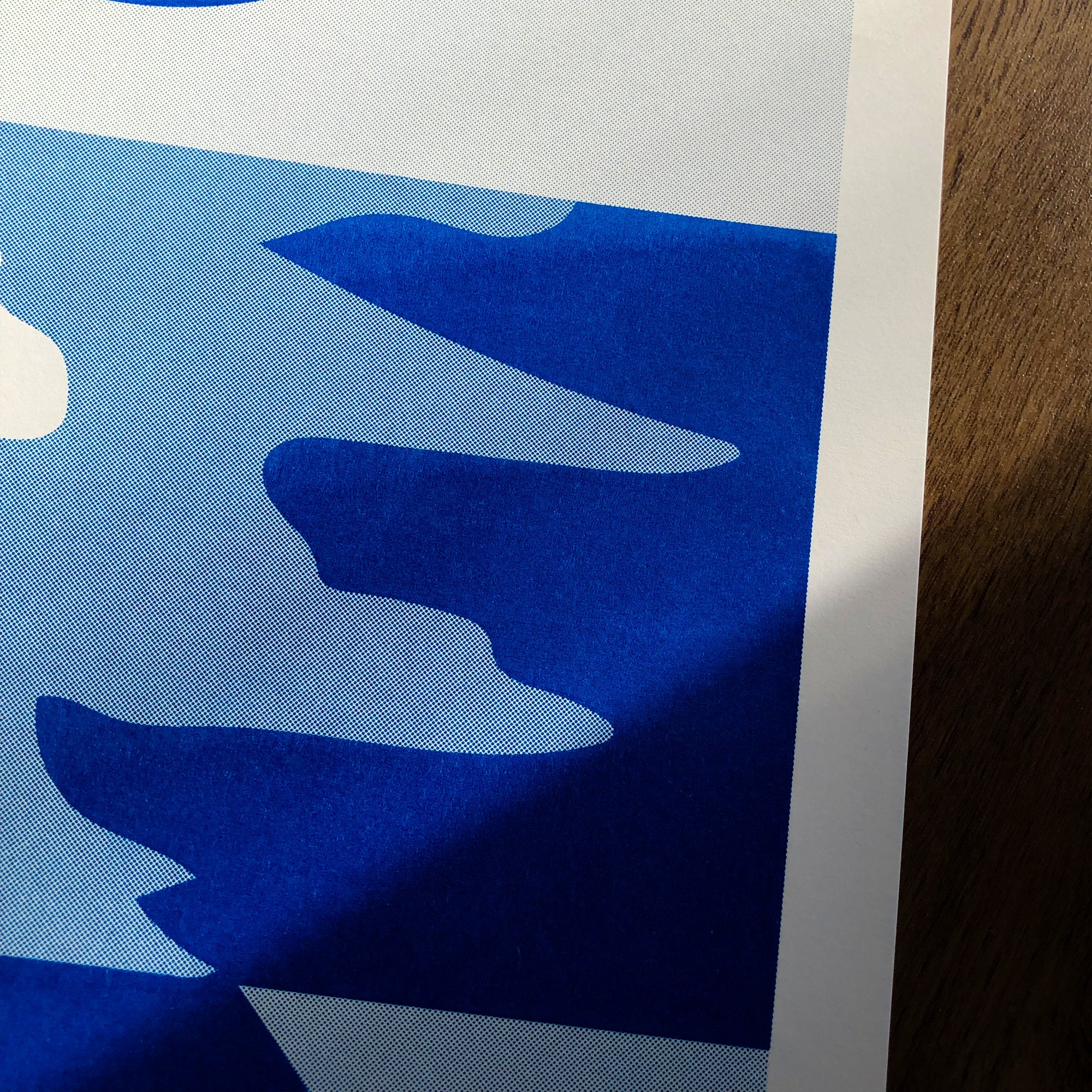 A3 Risograph Print of a Blue Cliff Landscape - Etsy UK