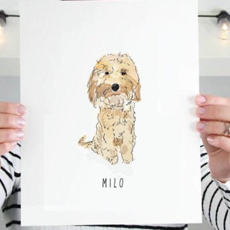 Custom Pet Drawing - Etsy