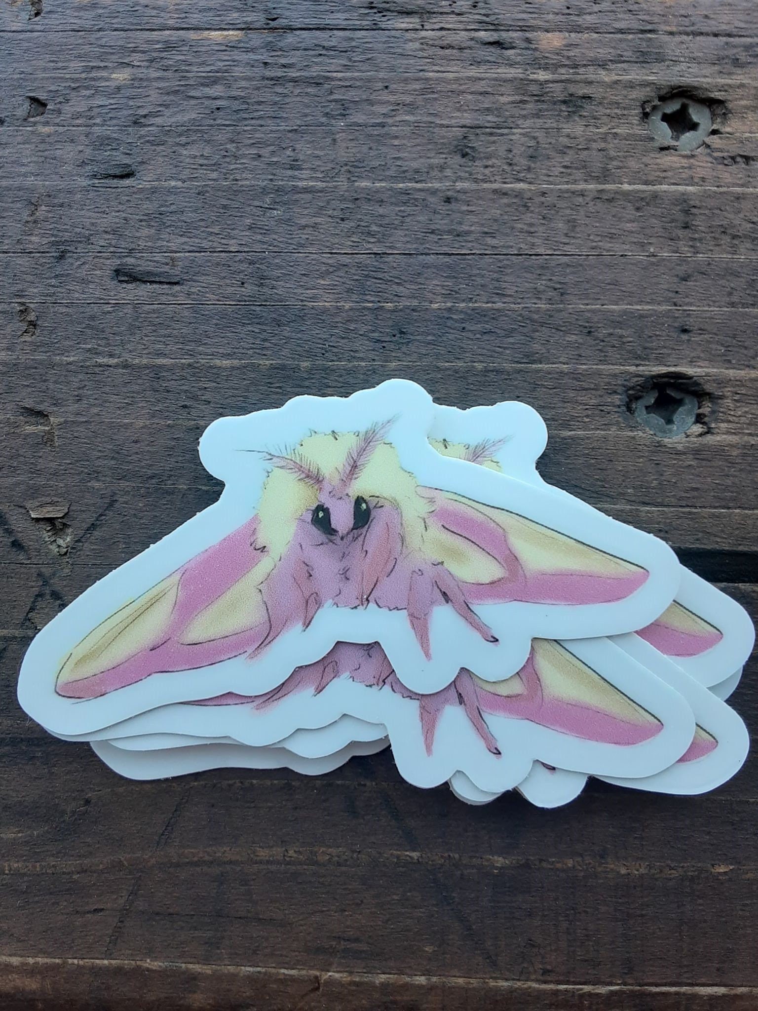 Rosy Maple Moth Sticker Sticker Vinyl Sticker Hydro | Etsy