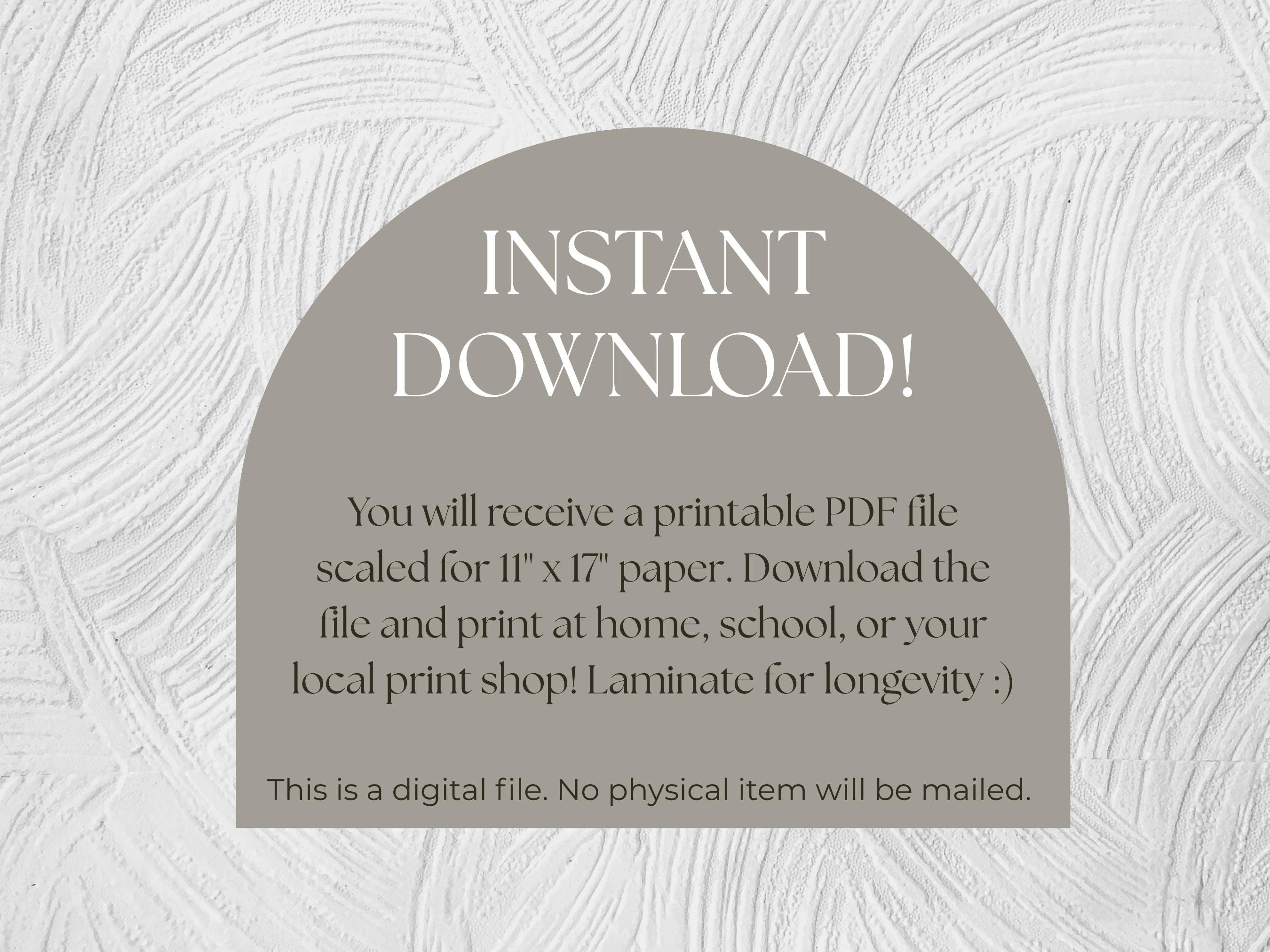 Classroom Consequences Poster Set: Choices & Behavior - 4 Color Options ...