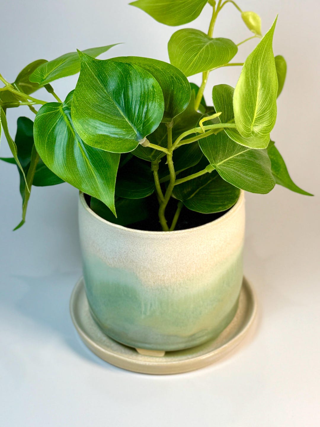 Jade Planter - Etsy