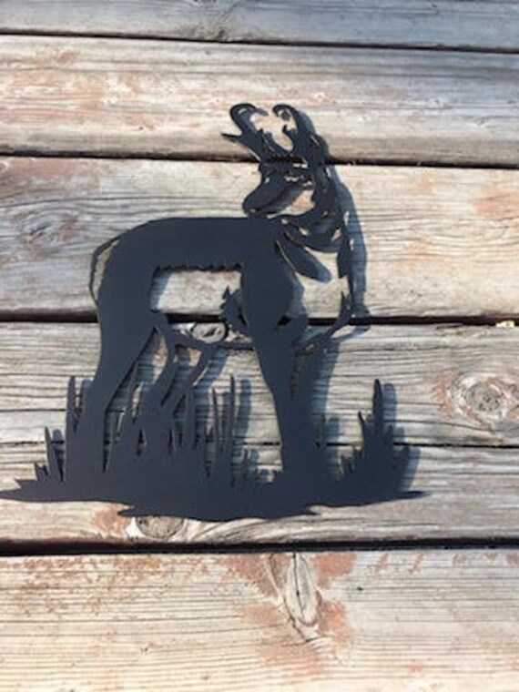 Pronghorn buck-Pronghorn sign-Animal signs-Wildlife signs-Man | Etsy