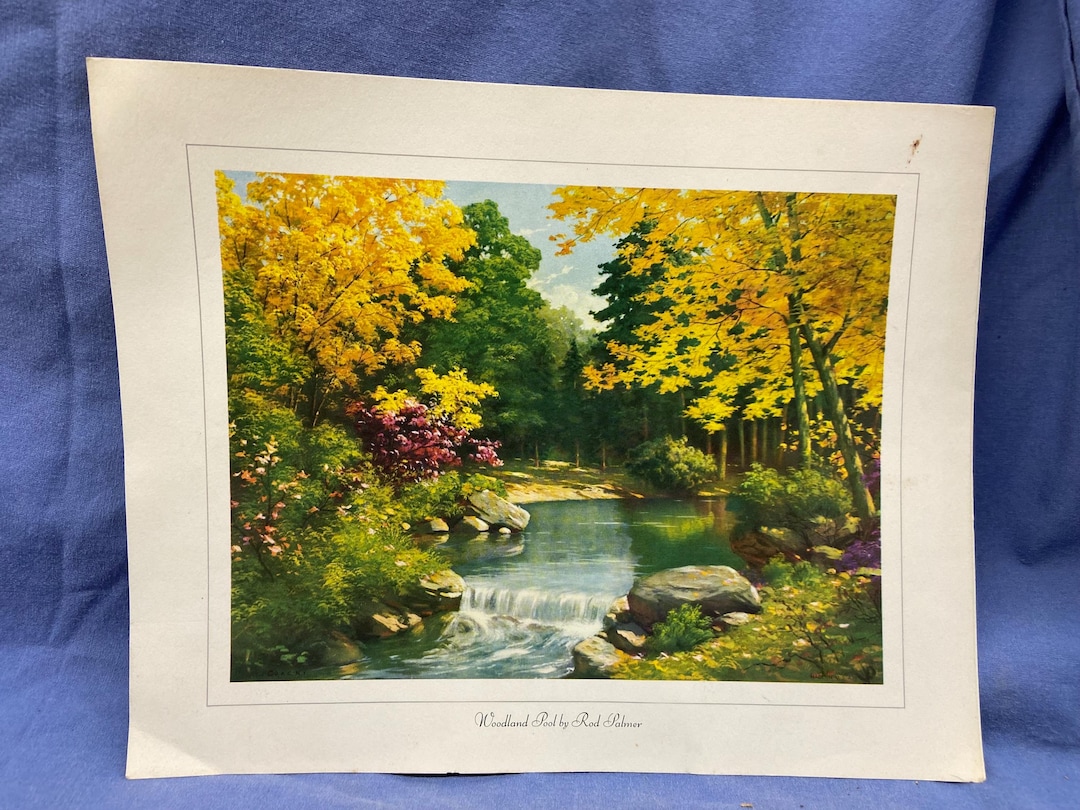 Two Litho Prints by Rod Palmer - Etsy