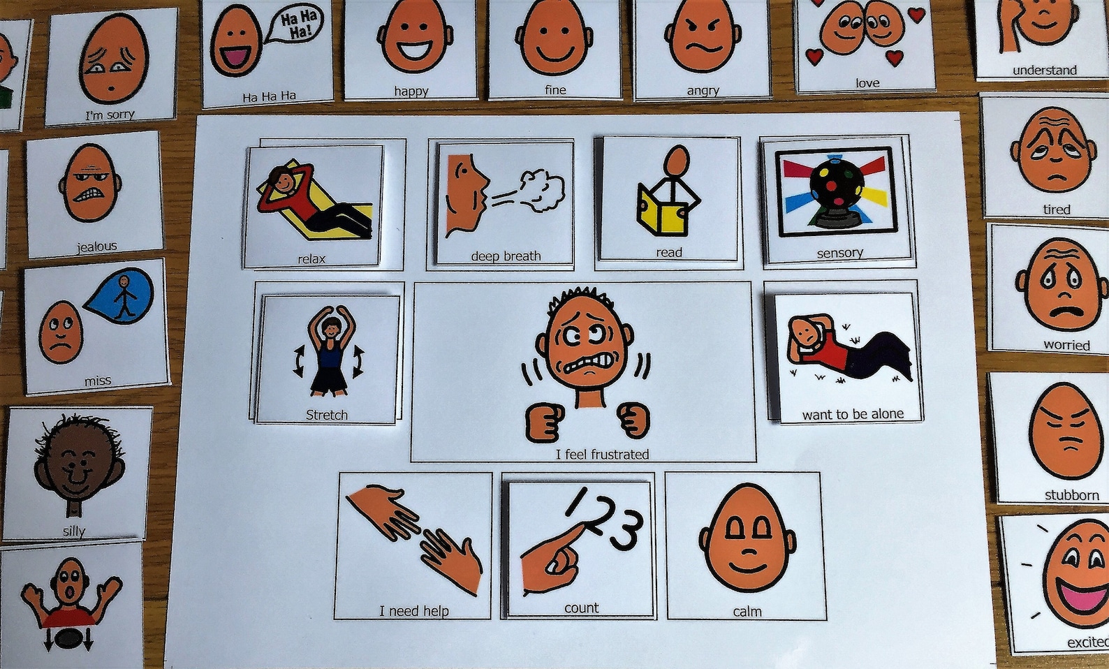 NEW PECS Emotions feelings professionally printed and | Etsy