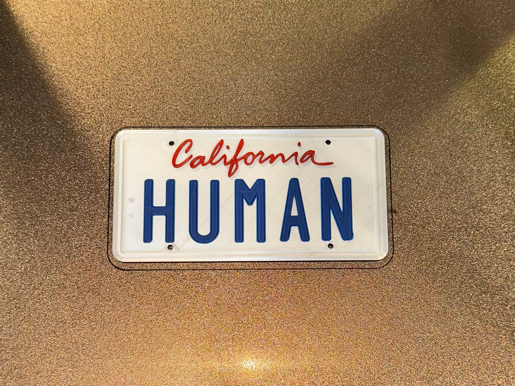 Daft Punk Electroma HUMAN California License Plate Replica - Etsy