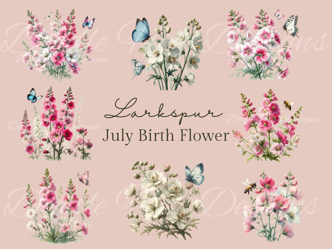 High-resolution Larkspur Clipart Bundle (50+ Pngs) Sublimation-craft ...