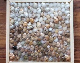 Sea Snail Shells Under Water resin - Etsy