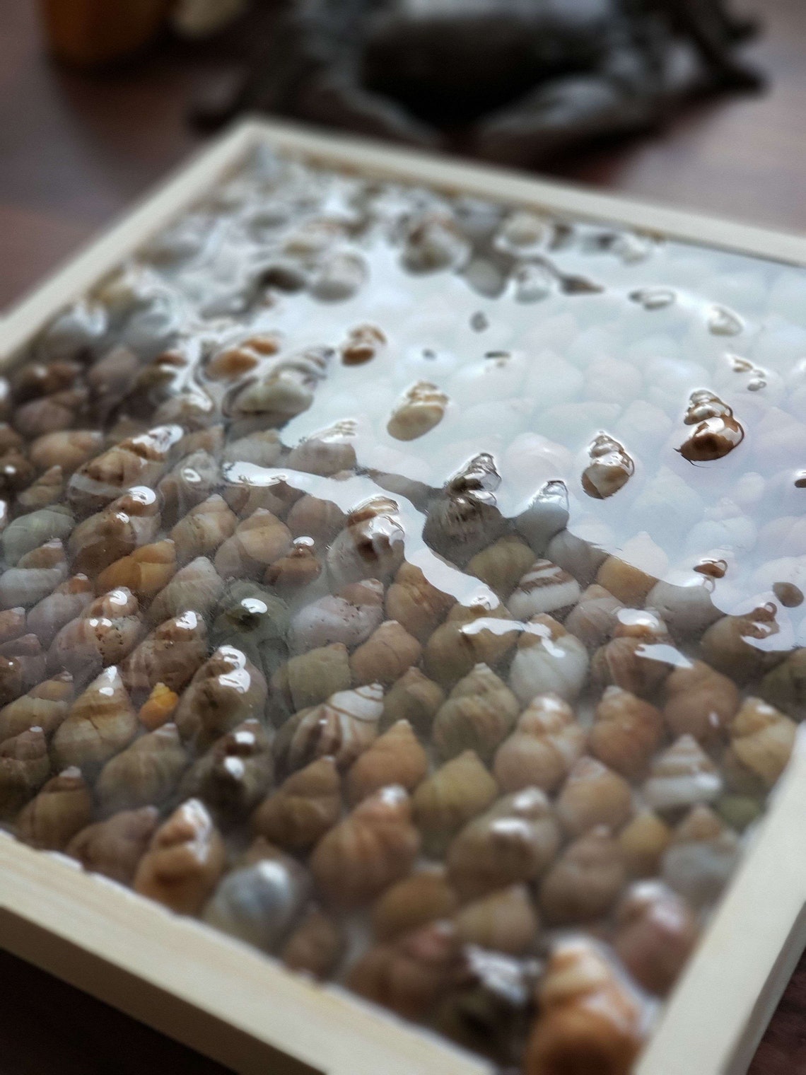 Sea Snail Shells Under Water resin - Etsy