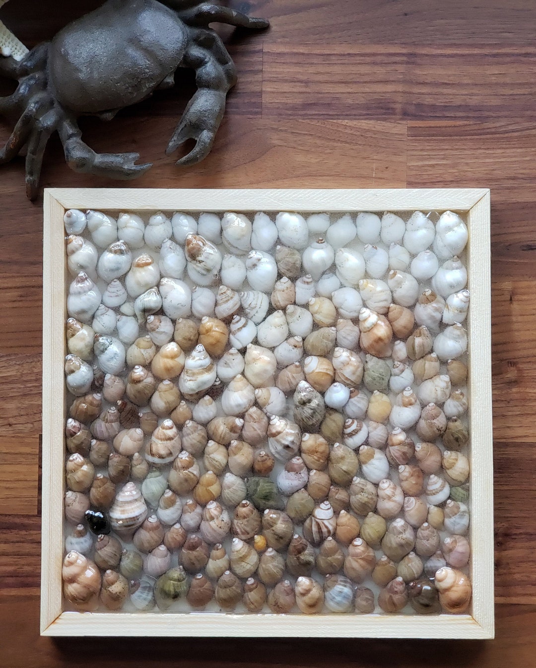 Sea Snail Shells Under Water resin - Etsy