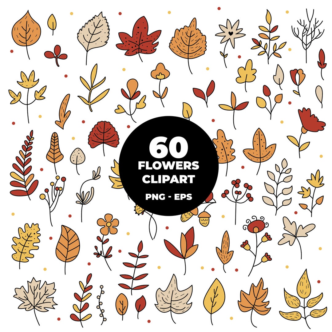826 - Autumn Leaves Mega Pack Bundle Full Color Clipart EPS and PNG ...