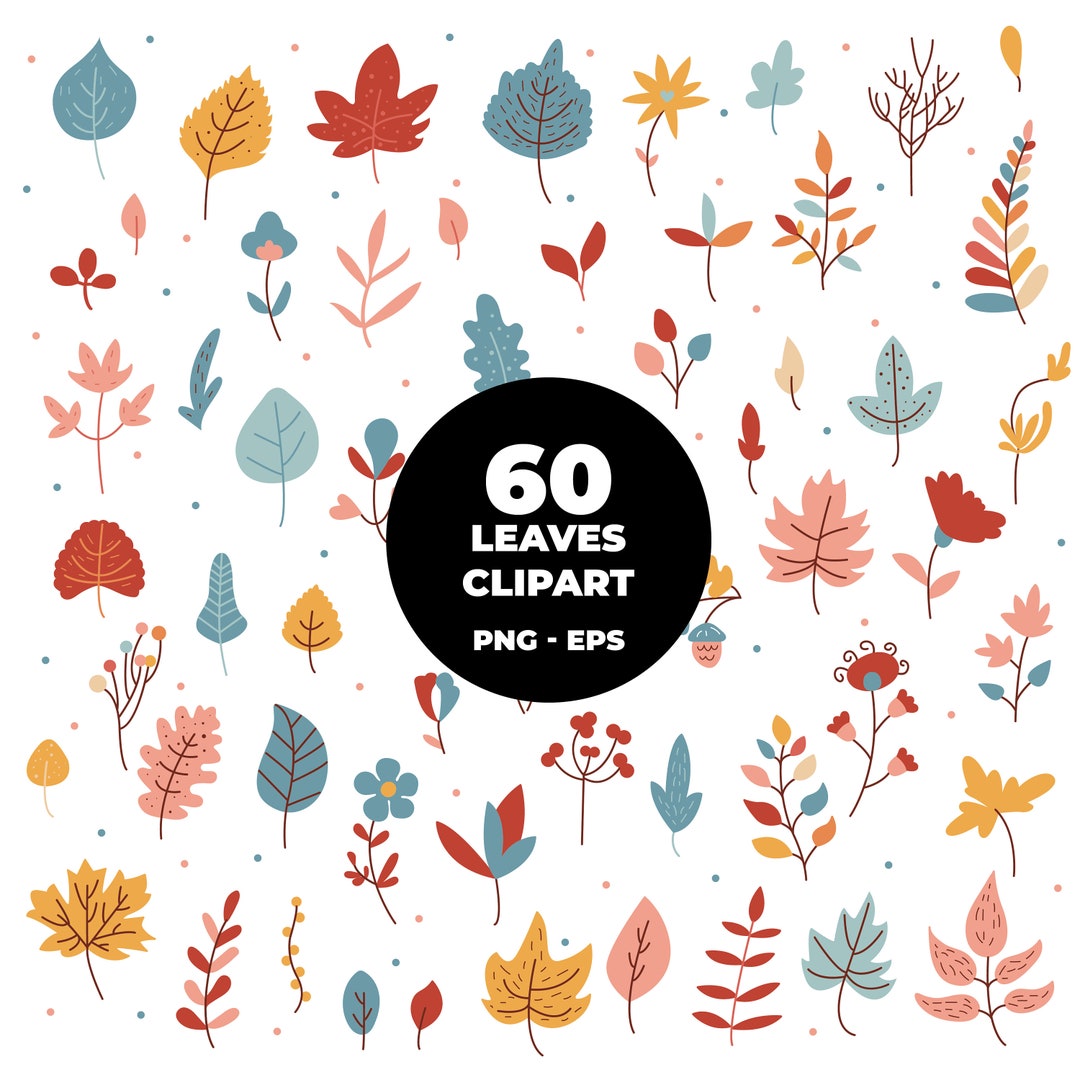 829 - Autumn Leaves Full Color Pack Bundle Clipart EPS and PNG Format ...