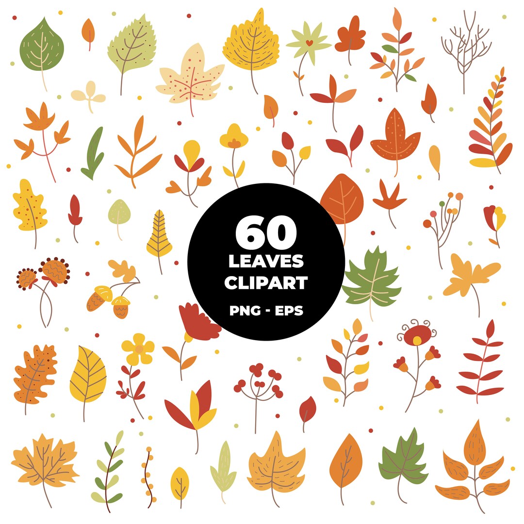 830 Autumn Leaves Clipart EPS and PNG Format. Autumn Leaves Clipart ...