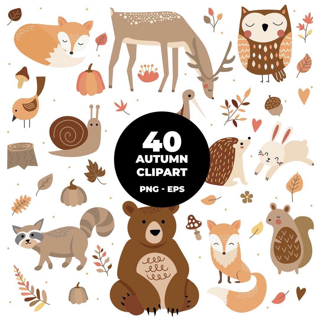 848 - Autumn Animals Pack Bundle Clipart (EPS and PNG Format). Autumn ...