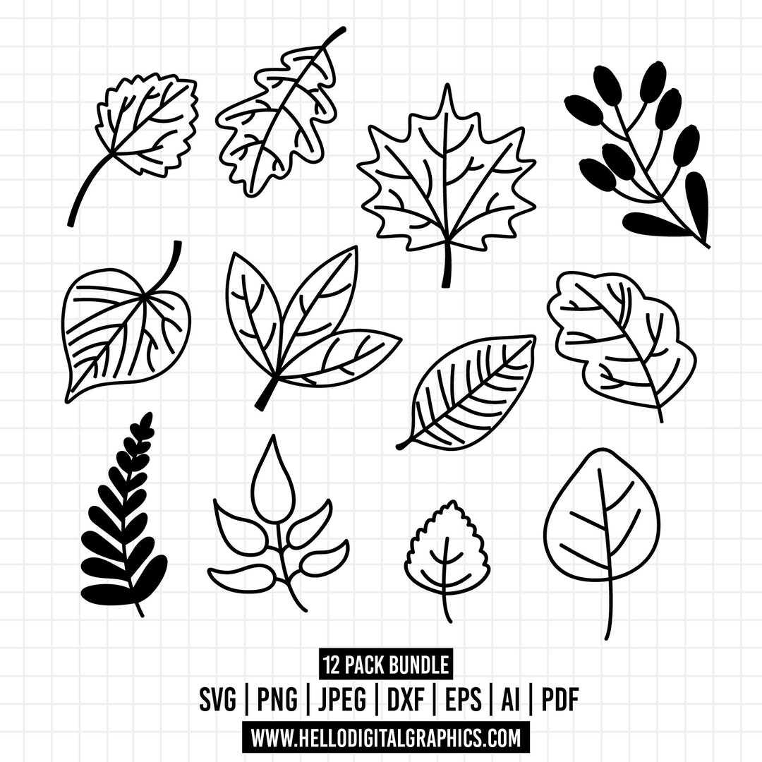 823 - Autumn Leaves Outline Pack Bunlde SVG, EPS, PNG - Autumn Leaves ...