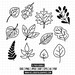 823 - Autumn Leaves Outline Pack Bunlde SVG, EPS, PNG - Autumn Leaves ...
