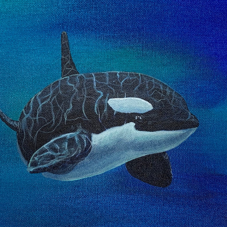 Orca Killer Whale Small Painting - Etsy