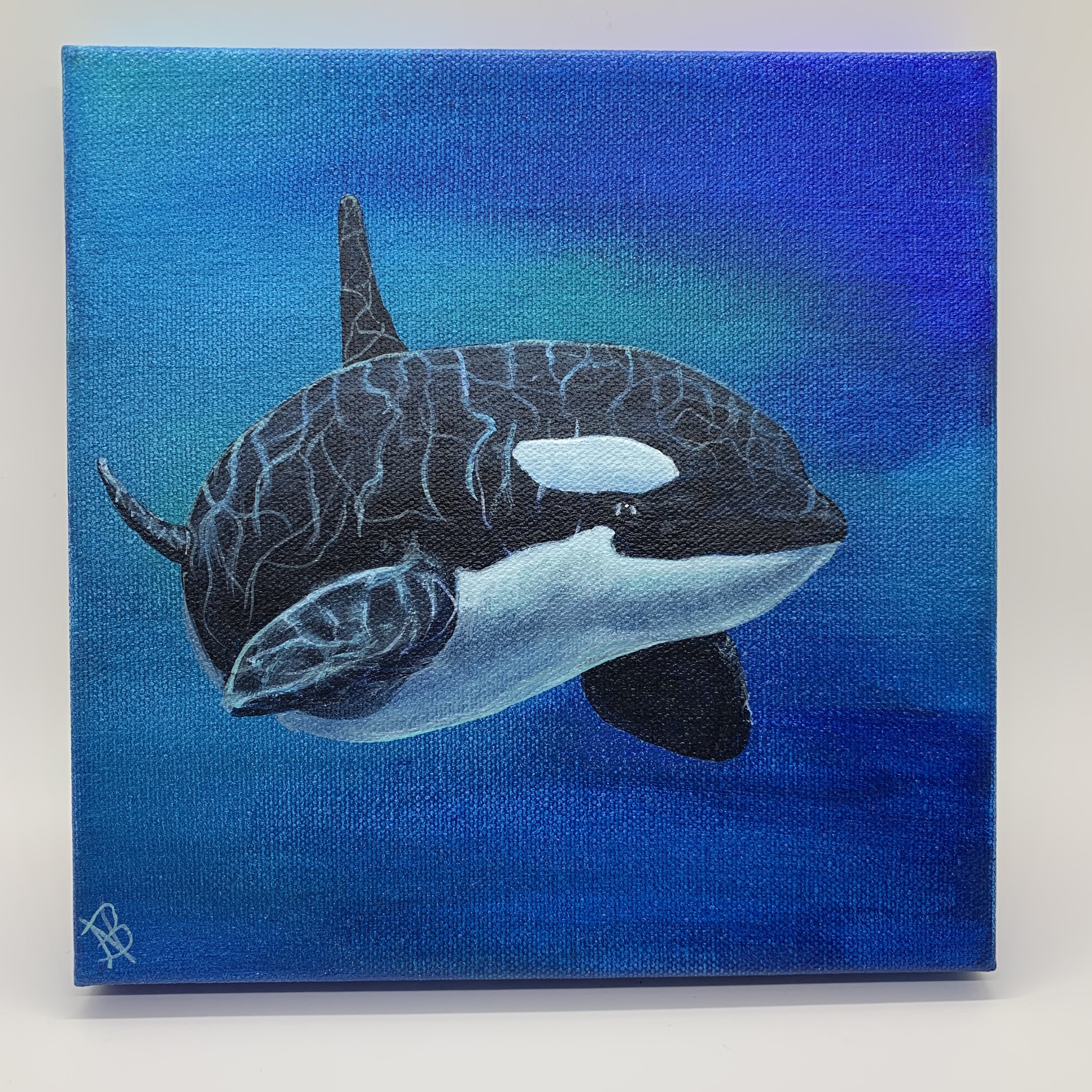 Orca Killer Whale Small Painting - Etsy
