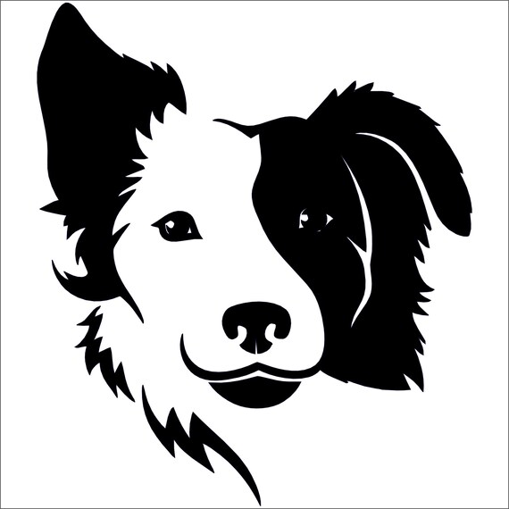 Border Collie Vinyl Decal Sticker Window Sticker Fridge | Etsy
