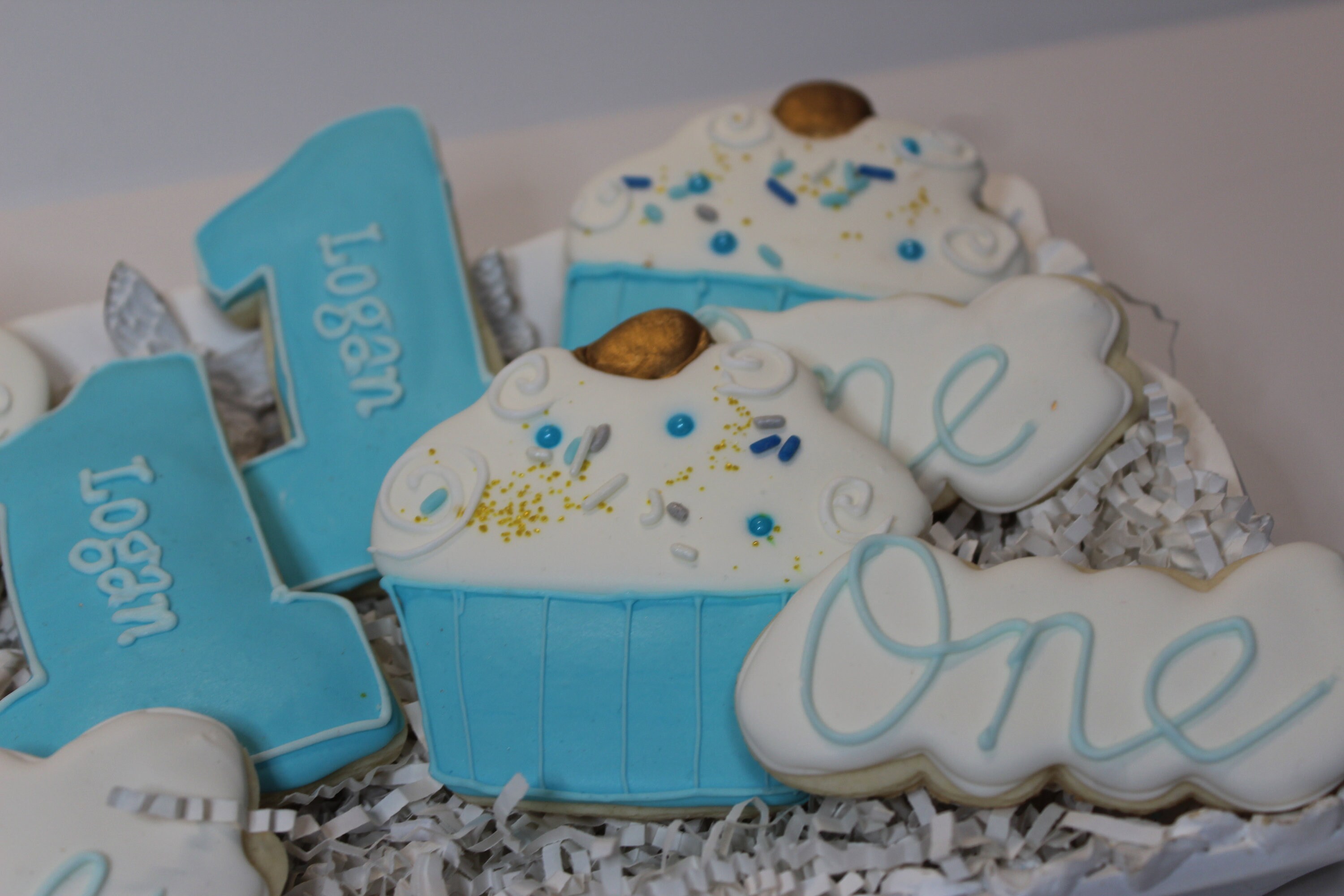 1 doz First Birthday CookiesCupcake Party Birthday Boy | Etsy