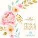 Blush Pink Roses Clipart Watercolor Flower Clipart Digital - Etsy