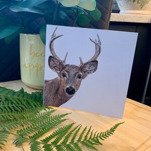 Stag Greetings Card - Etsy